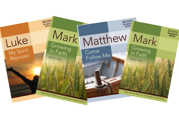 Scripture Series - RENEW International