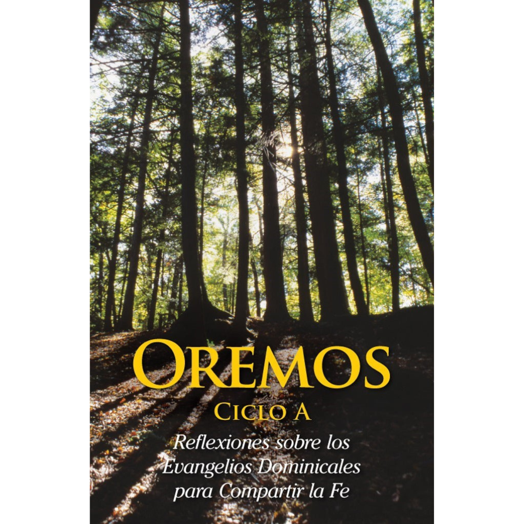 OREMOS - Ciclo A – RENEW International