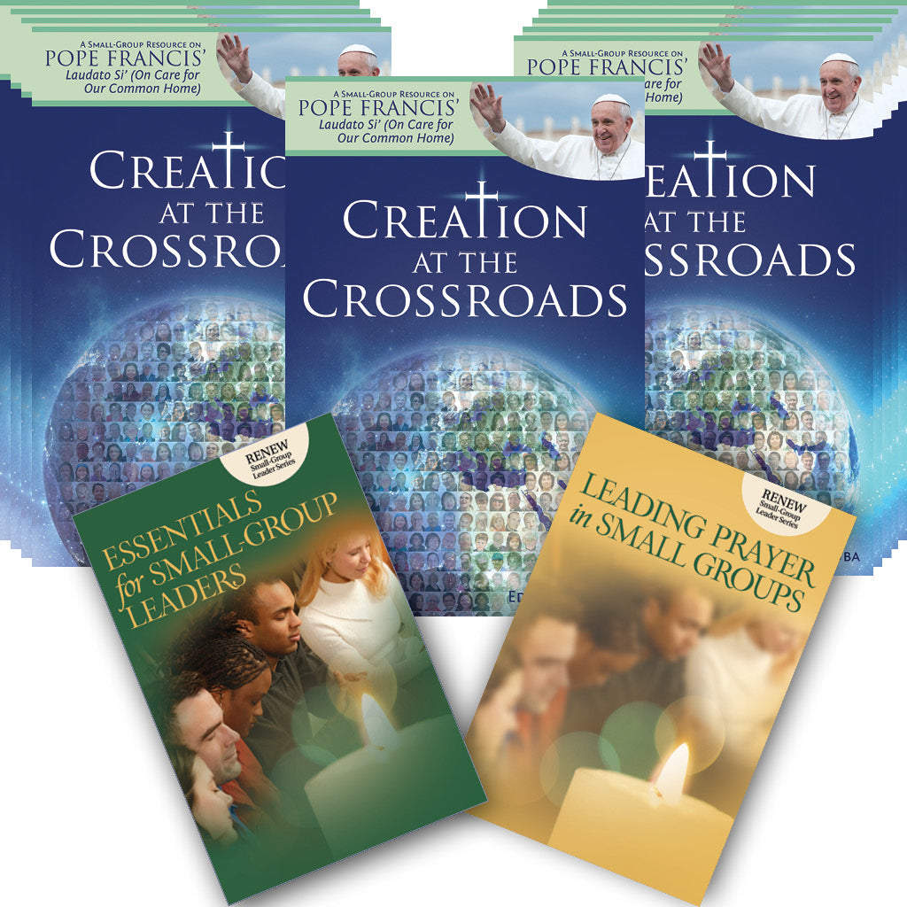 Creation at the Crossroads (Small Group Set) – RENEW International